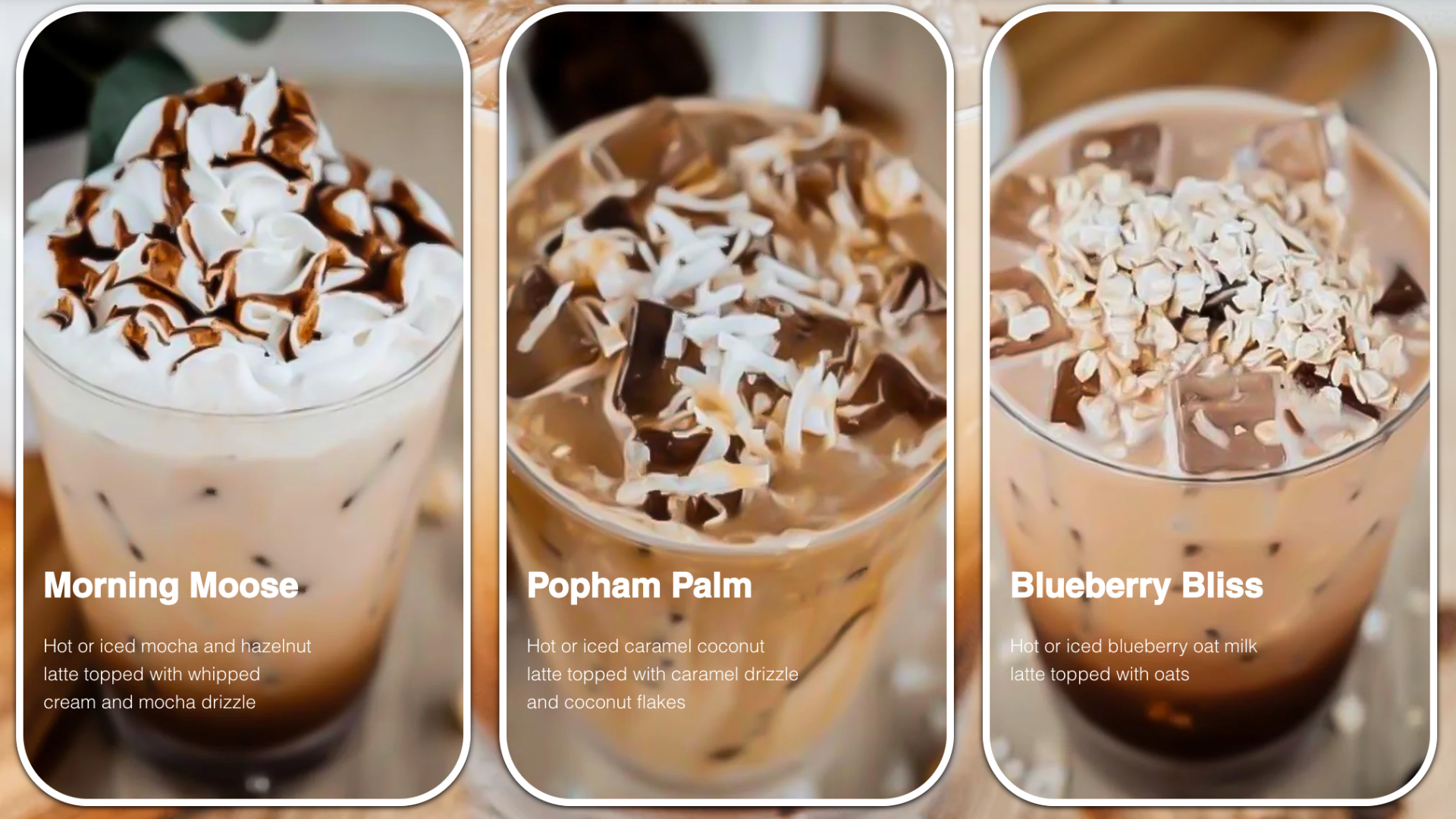 Morning Moose Coffee